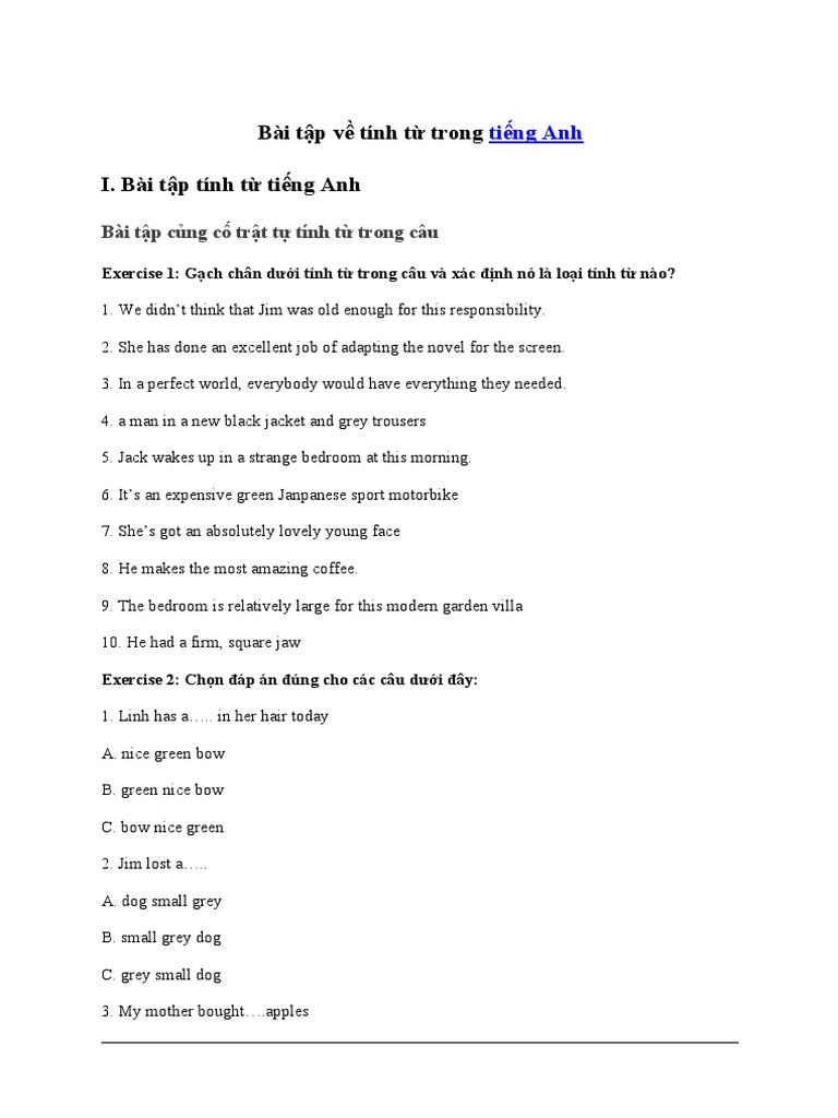 Bai Tap Ve Tinh Tu Trong Tieng Anh | PDF