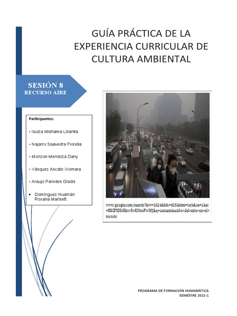 Guia Practica 8 | PDF | La contaminación del aire | Contaminación
