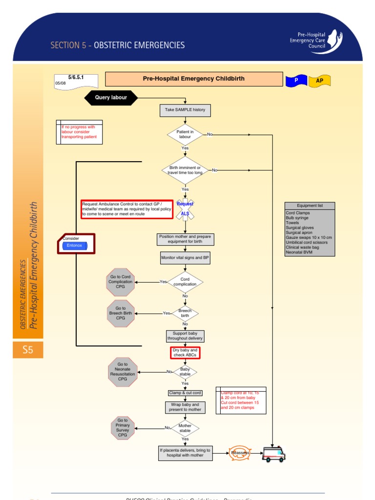Emergency Childbirth Guidelines | PDF | Childbirth | Obstetrics