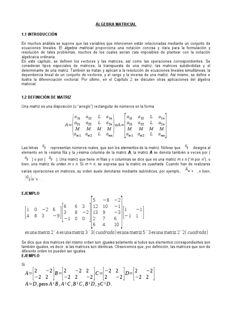 Álgebra Matricial | PDF | Matriz (Matemáticas) | Vector Euclidiano