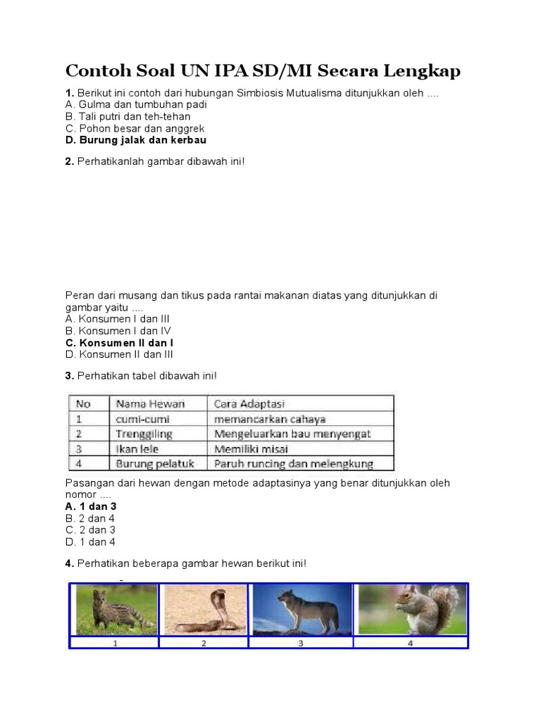 SOAL Us IPA | PDF | Griya & Taman | Sains & Matematika