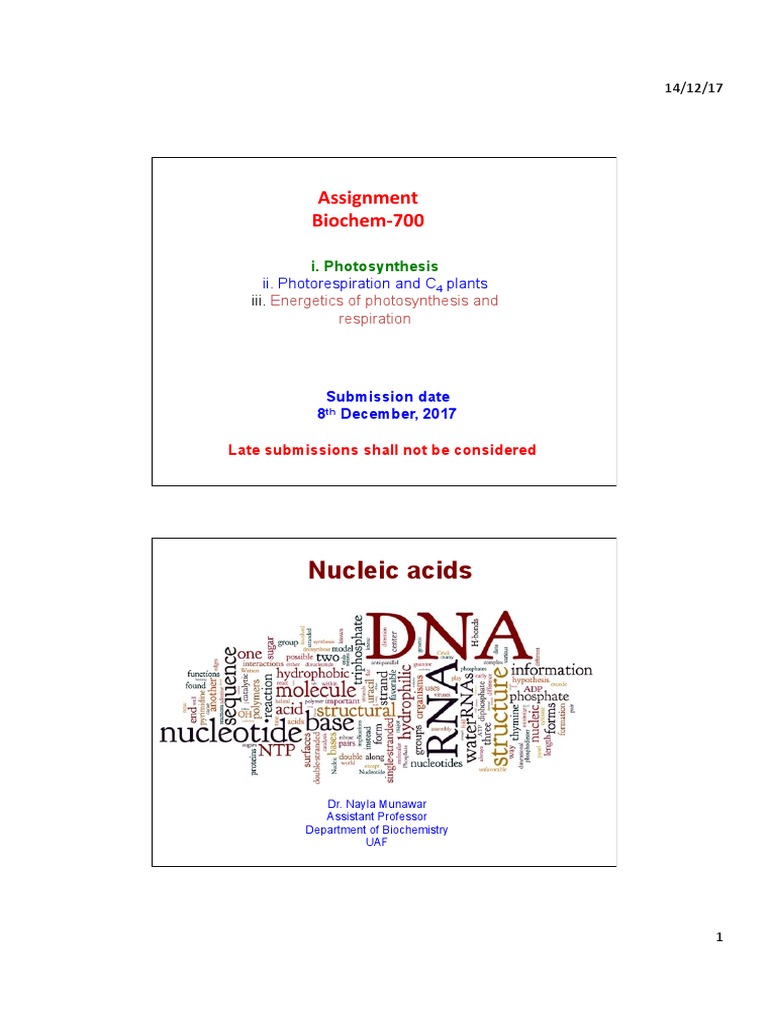 Nucleic Acids: Assignment Biochem-700 | Download Free PDF | Dna ...