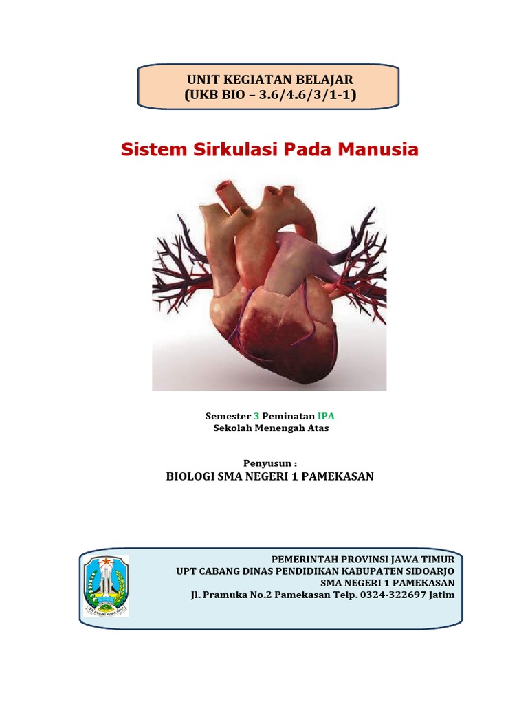 Sistem Sirkulasi Pada Manusia: Unit Kegiatan Belajar (UKB BIO - 3.6/4.6 ...