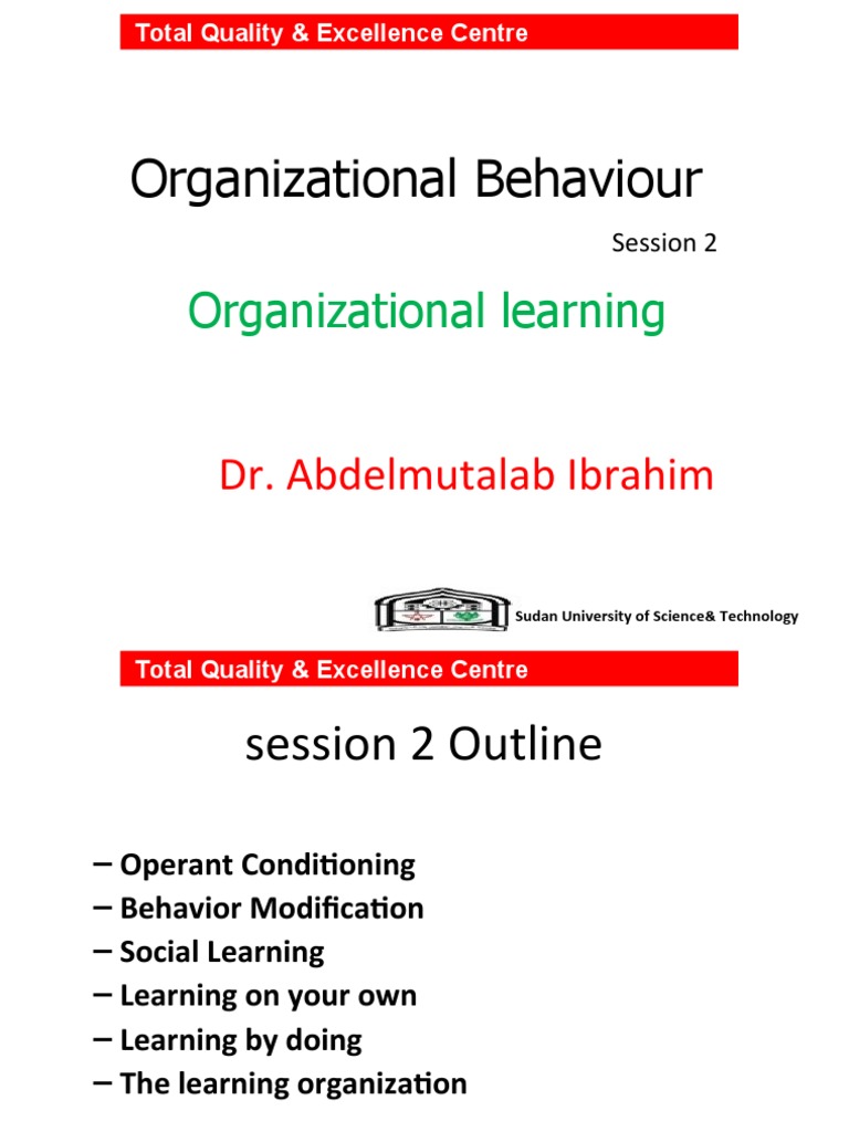 Organizational Learning | PDF | Reinforcement | Behavior