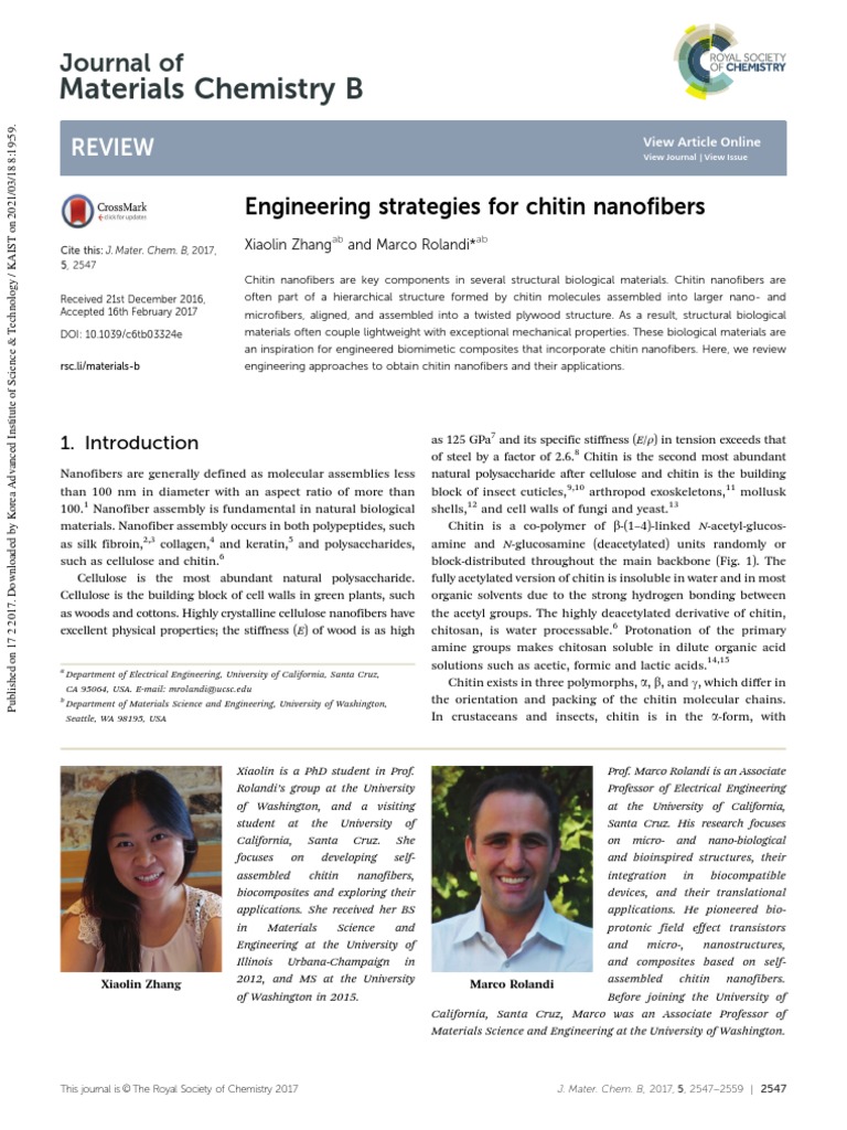Engineering Strategies For Chitin Nanofibers | PDF | Solution | Biomaterial