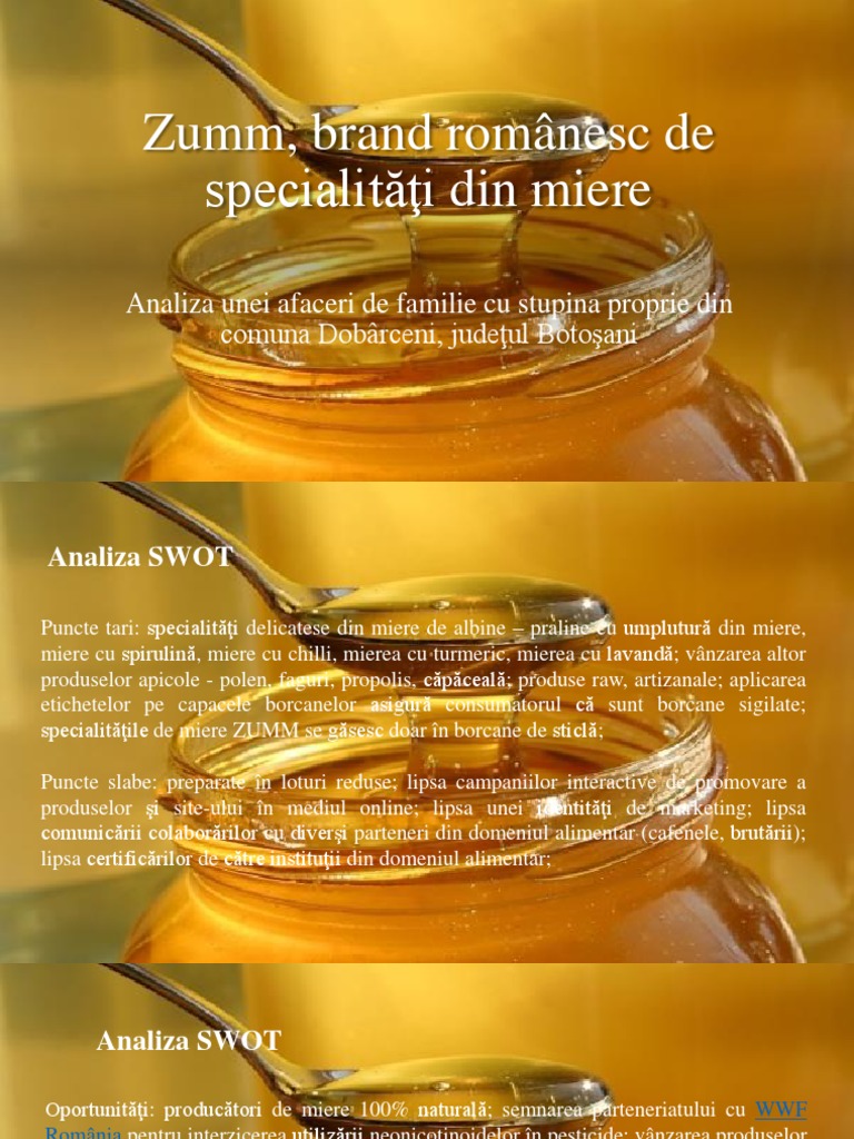 Plan Miere Magazin Online | PDF