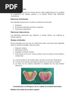 Prótesis Total. Placa Base y Rodete de Oclusión | PDF | Músculo ...