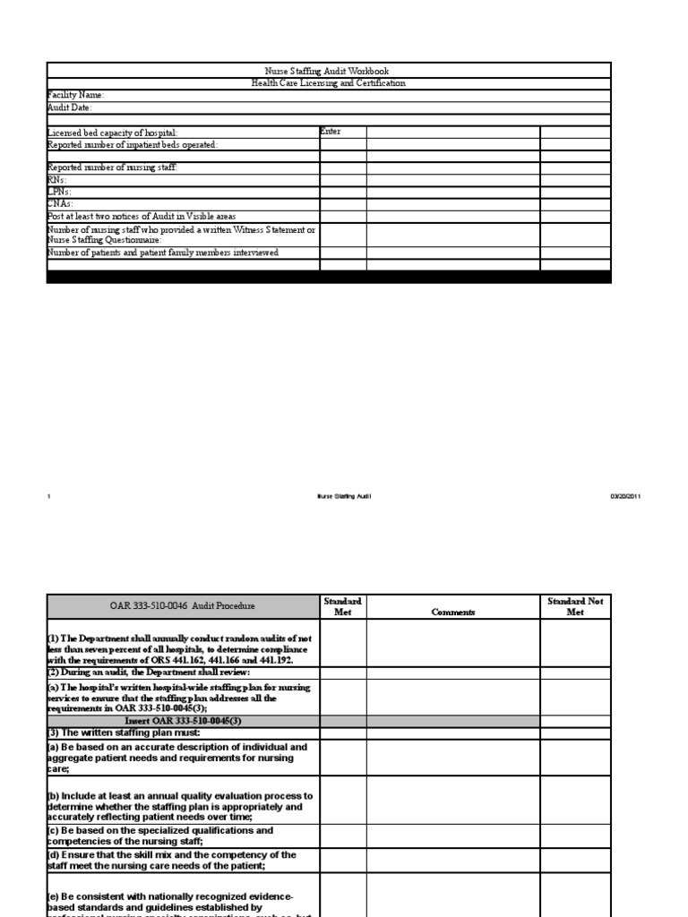 Nurse Staffing Audit Booklet | PDF | Nursing | Patient