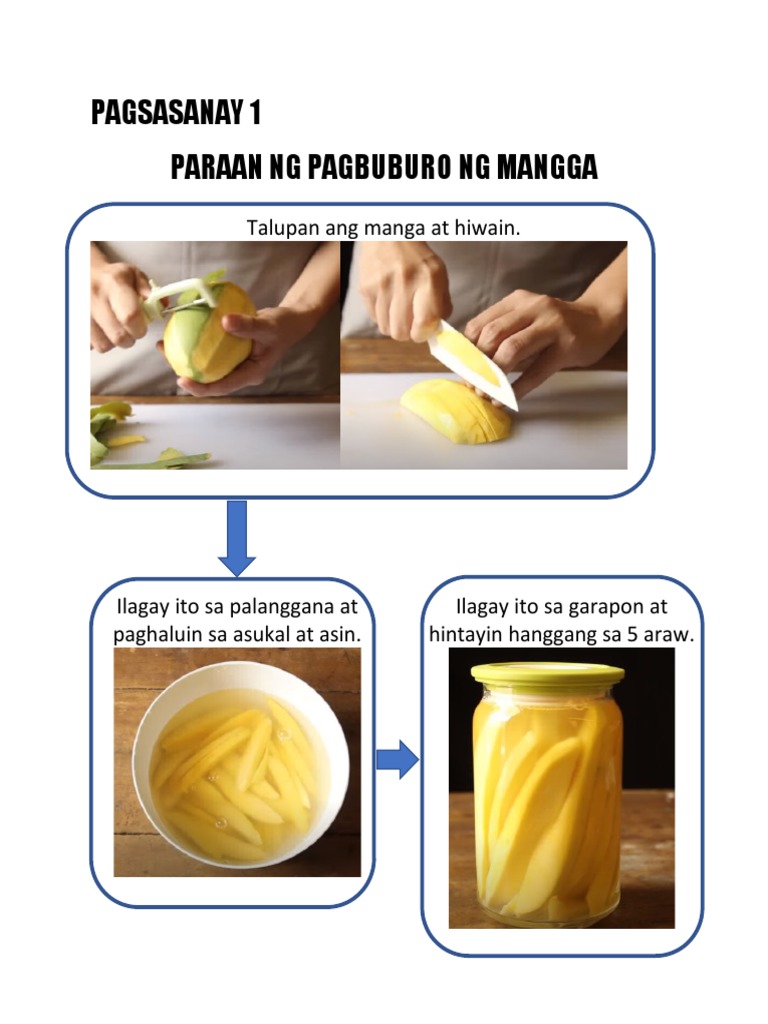 Paraan NG Pagbuburo NG Mangga | PDF