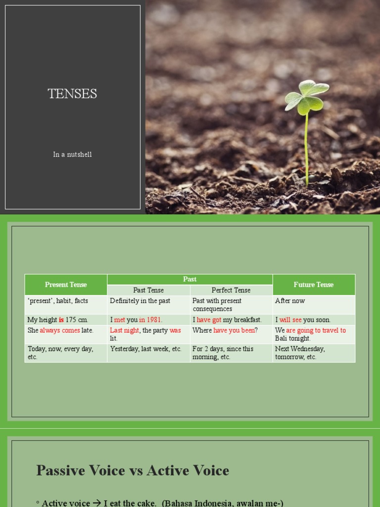 ALL TENSES in Nutshell | PDF | Self-Improvement | Wellness