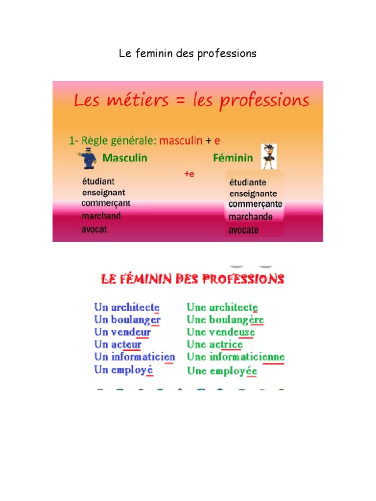 Le Féminin Des Professions | PDF