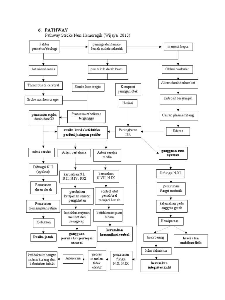 Stroke Pathways | PDF