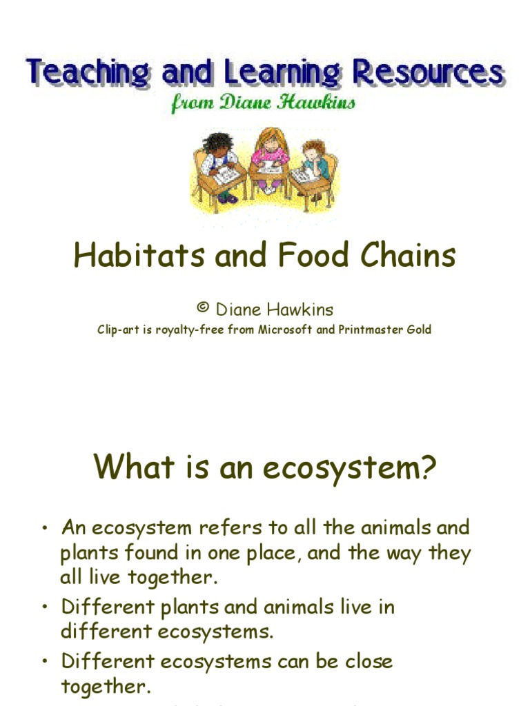 Habitats and Food Chains: © Diane Hawkins | PDF | Predation | Foods