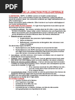 Syndrome de la Jonction Pyelo-Uréterale | PDF | Rein | Spécialités ...
