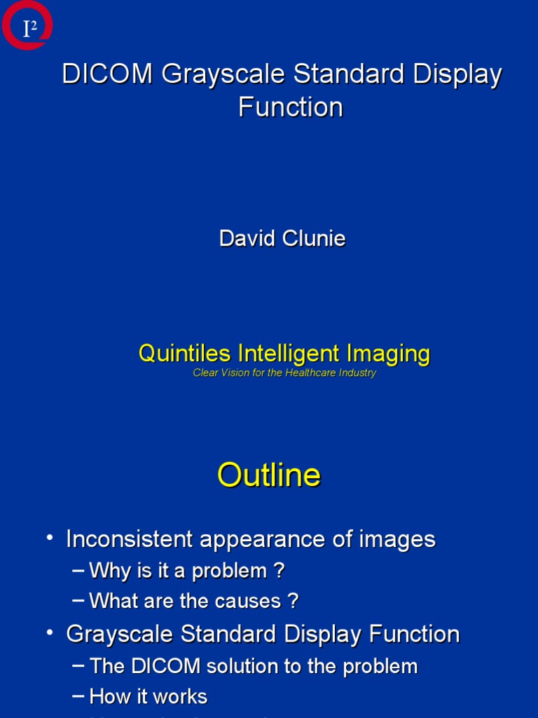 DICOM Grayscale Standard Display Function | PDF | Contrast (Vision ...