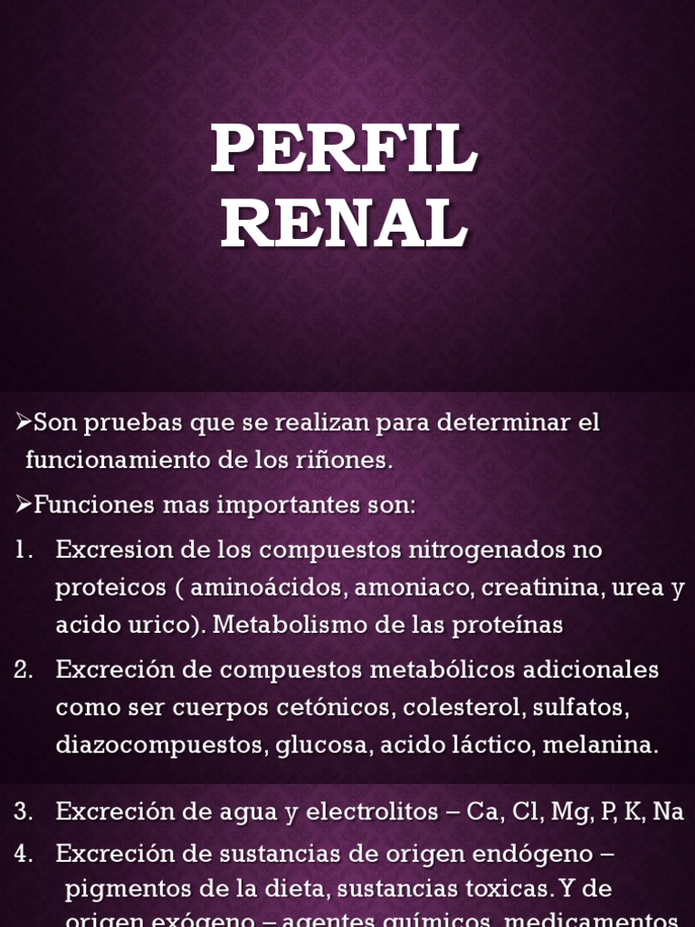 Perfil renal: Un resumen completo de las pruebas y funciones renales ...