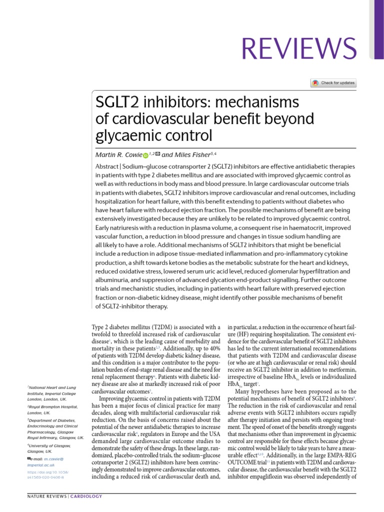 SGLT2 Inhibitors. Mechanisms of Cardiovascular Benefit Beyond Glycaemic Control | PDF ...