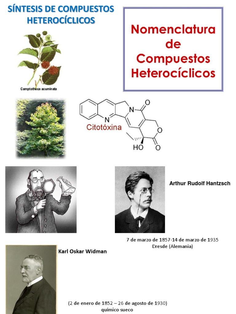 Nomenclatura de Heterociclos Enero 2021 | PDF | Piridina | Valencia ...