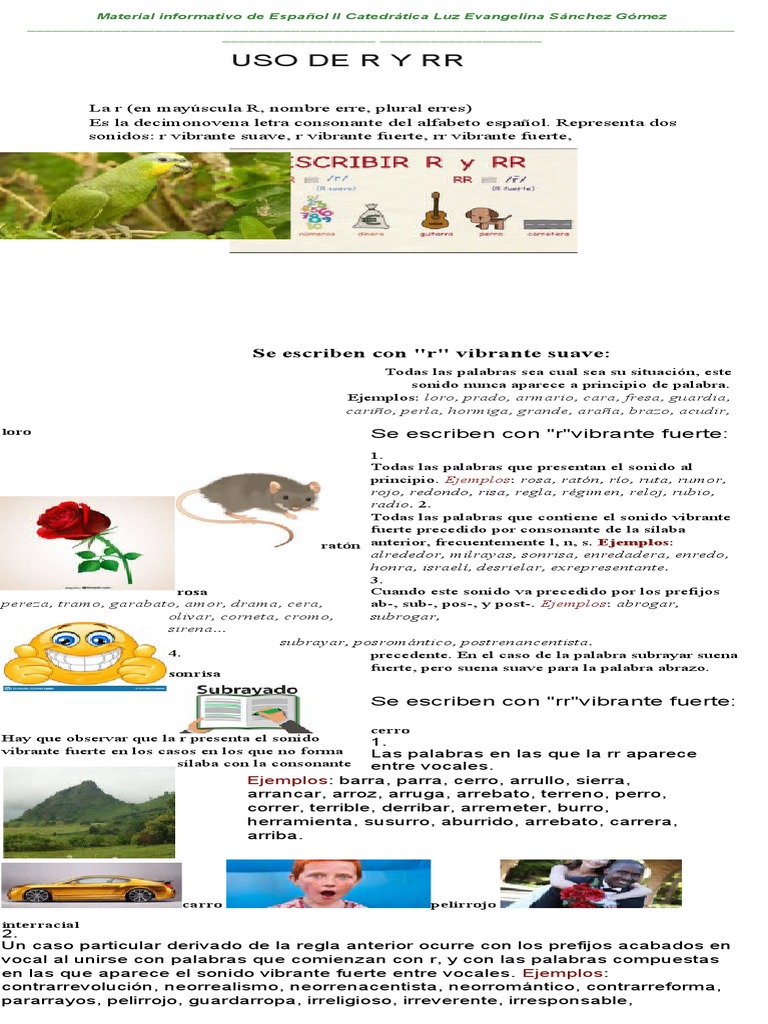 Uso de la R y RR en Español | PDF | Lingüística