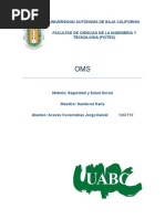 Mapa Conceptual OMS | PDF