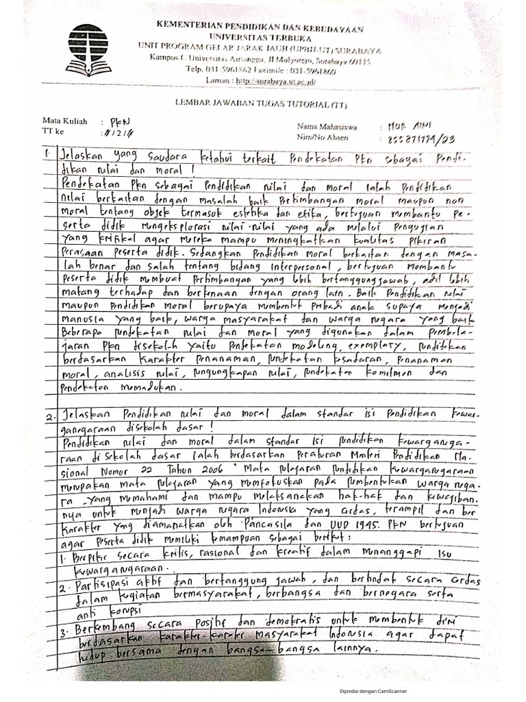 23.nur Aini-855871774-TT2 PKN | PDF