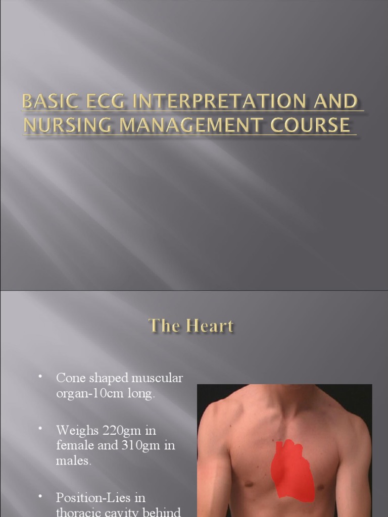 Cardiac Cycle and ECG Interpretation Guide | PDF | Electrocardiography | Thorax (Human Anatomy)