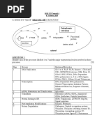 DNA Mutations Lab Answer Key | PDF | Genetic Code | Point Mutation