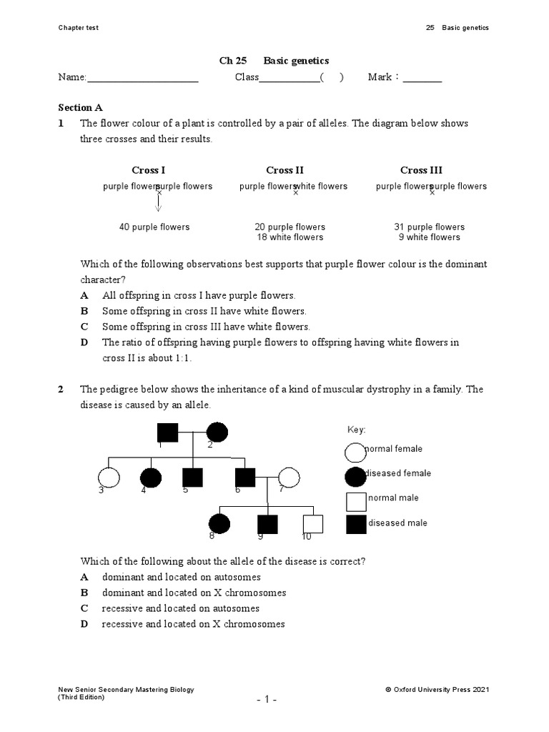 CH 25 Basic Genetics: Chapter Test | Download Free PDF | Allele | Genetics