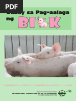 Pagbababuyan | PDF
