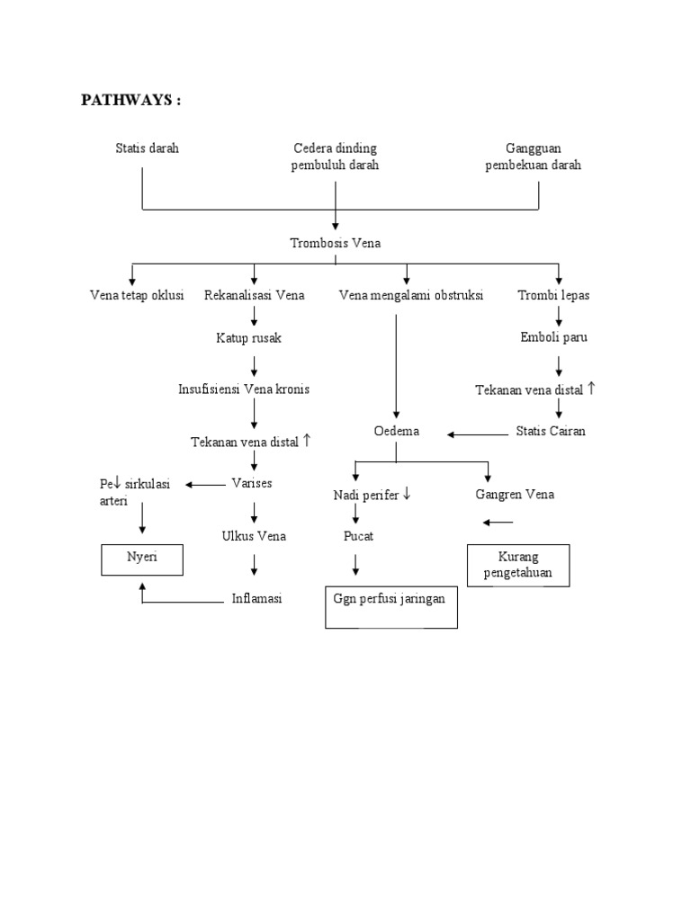 Pathway DVT | PDF