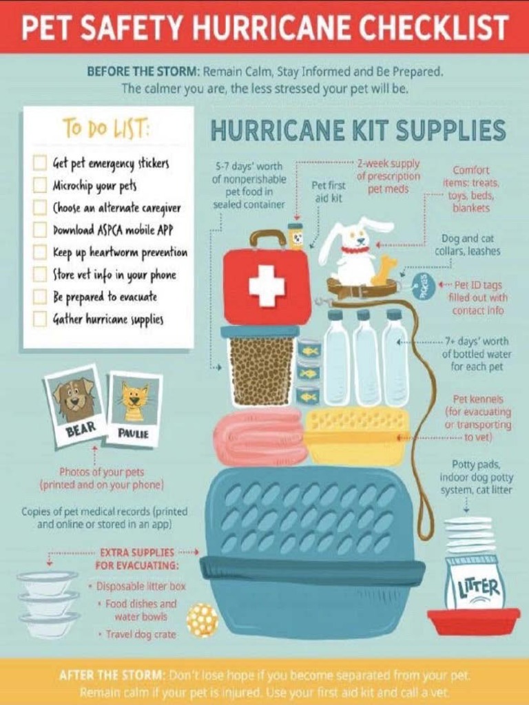 Pet Hurricane Checklist | PDF