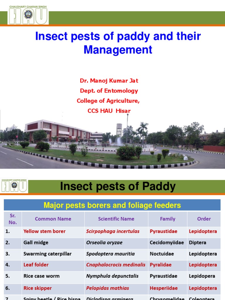 Management of Major Insect Pests of Paddy: A Guide to Integrated Pest ...