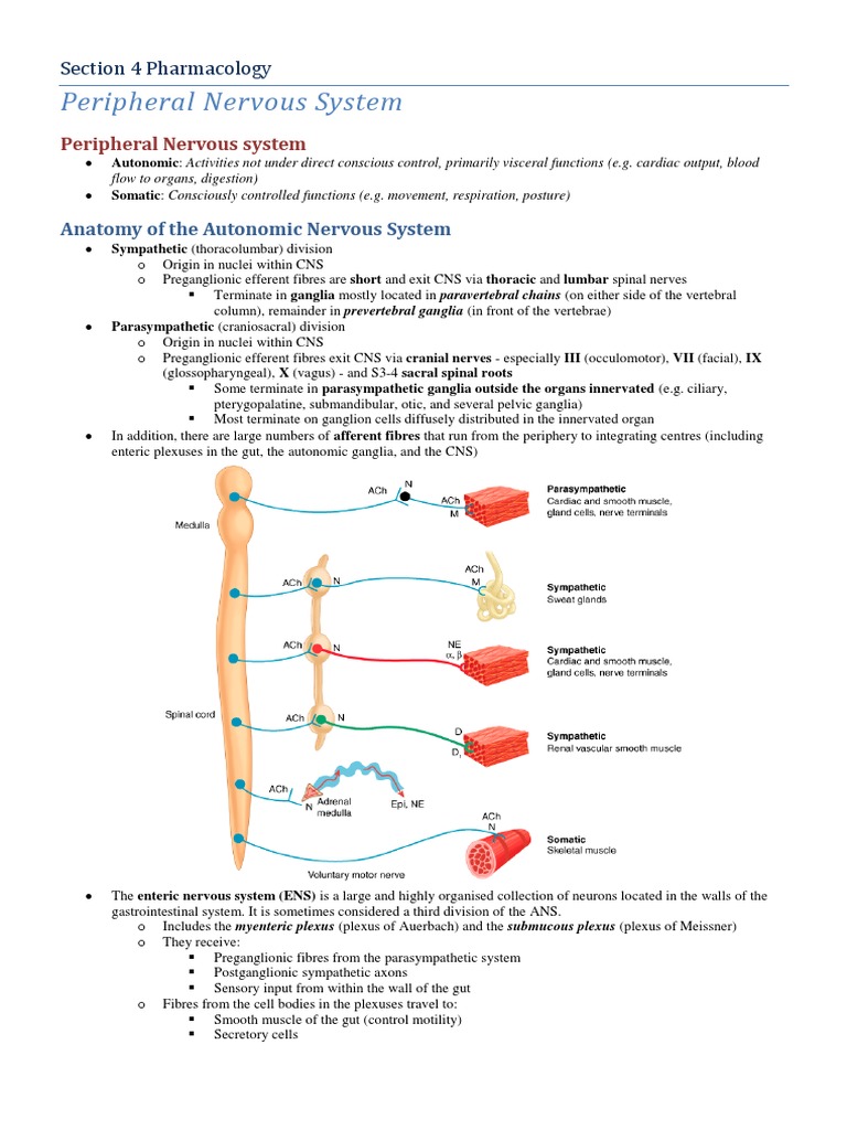 Pharmacology - Section 04 - Peripheral Nervous Systems (Autonomic and ...