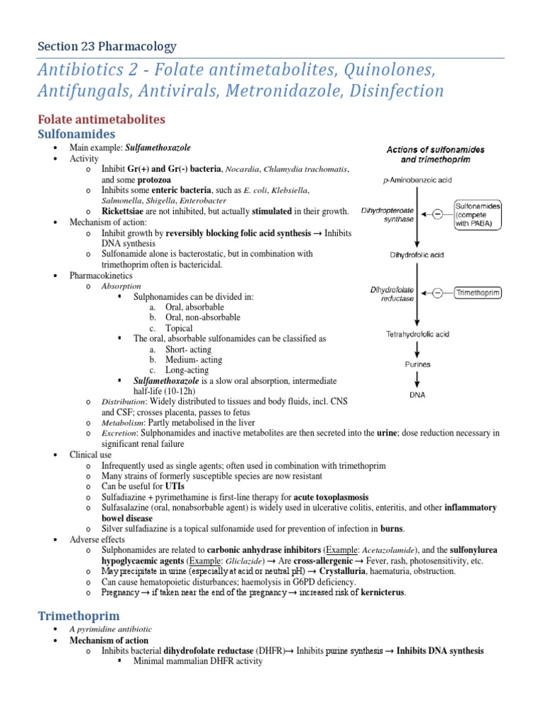 Pharmacology - Section 23 - Antibiotics 2 | PDF | Herpes Simplex | Drugs