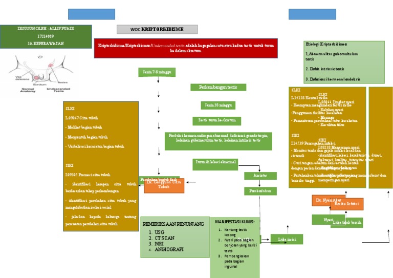 WOC Kriptorkidisme | PDF