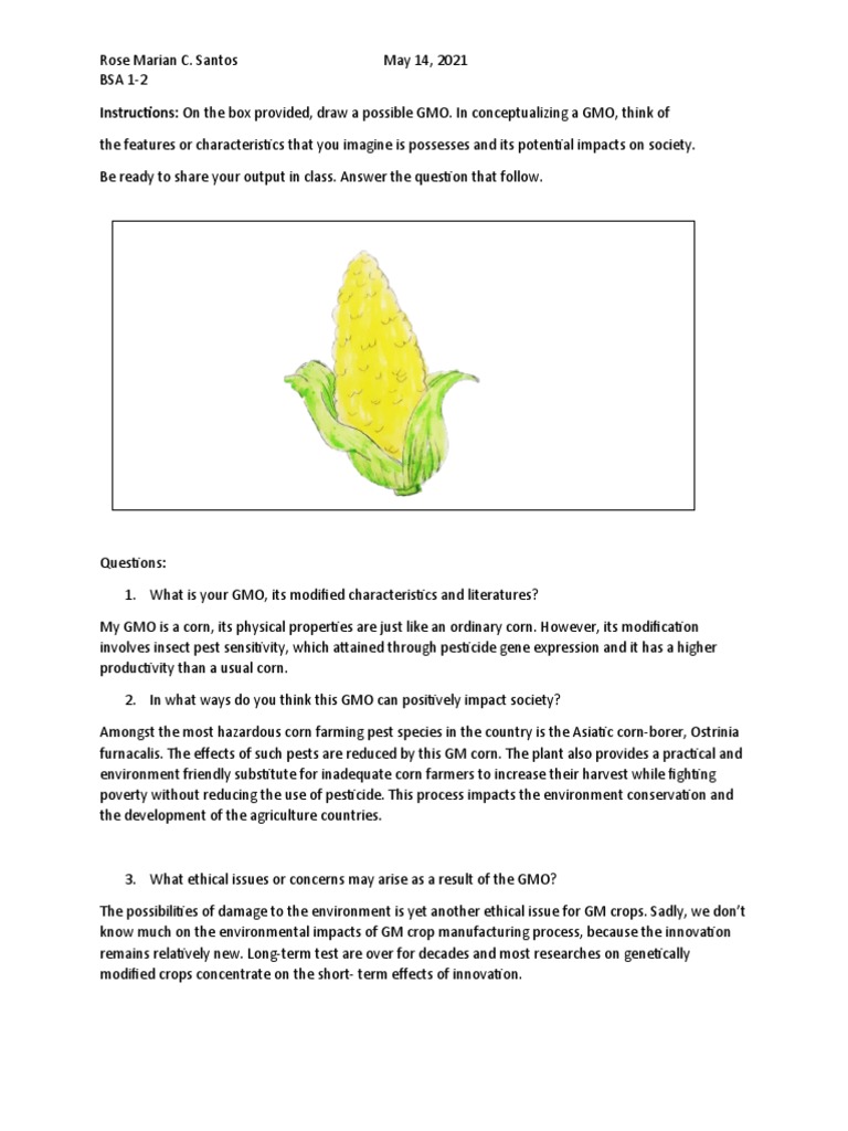 Instructions: On The Box Provided, Draw A Possible GMO. in ...
