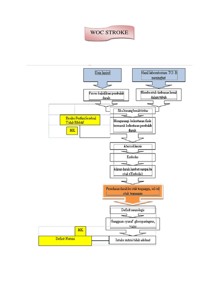 Woc Stroke Unlocked | PDF