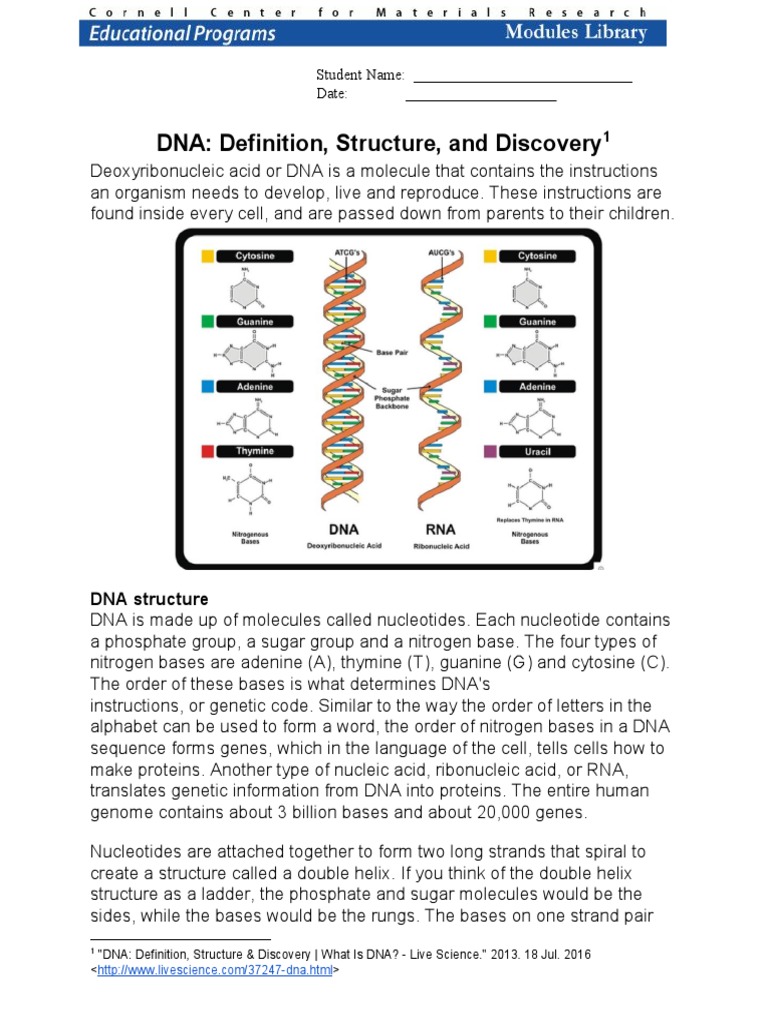 DNA: Structure, Function, and Discovery | PDF | Nucleic Acid Sequence | Dna