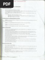 Excel Advanced Level Christianity & Islam | PDF | Bible | New Testament