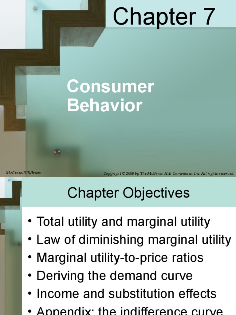 Consumer Behavior: Mcgraw-Hill/Irwin | PDF | Utility | Marginal Utility