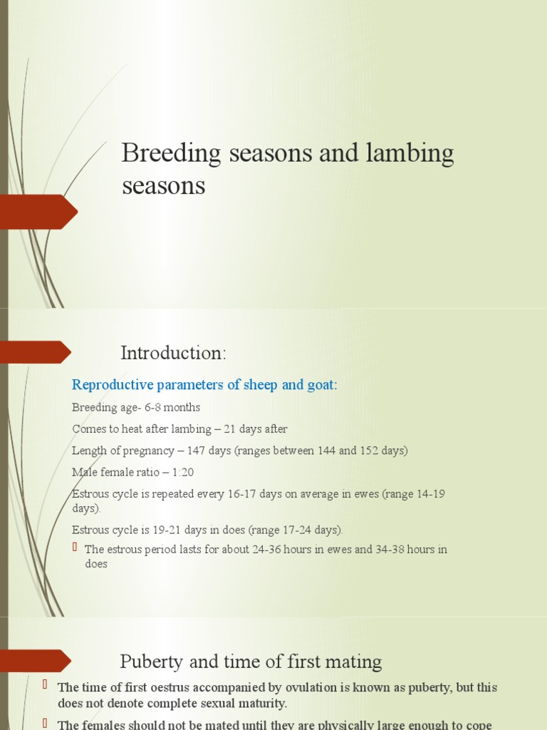 Breeding Seasons and Lambing Seasons | PDF | Sheep | Reproduction
