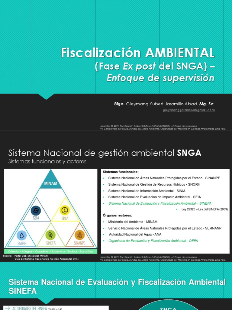 FISCALIZACIóN AMBIENTAL (Fase Ex Post Del Snga) | PDF | Entorno natural | Naturaleza
