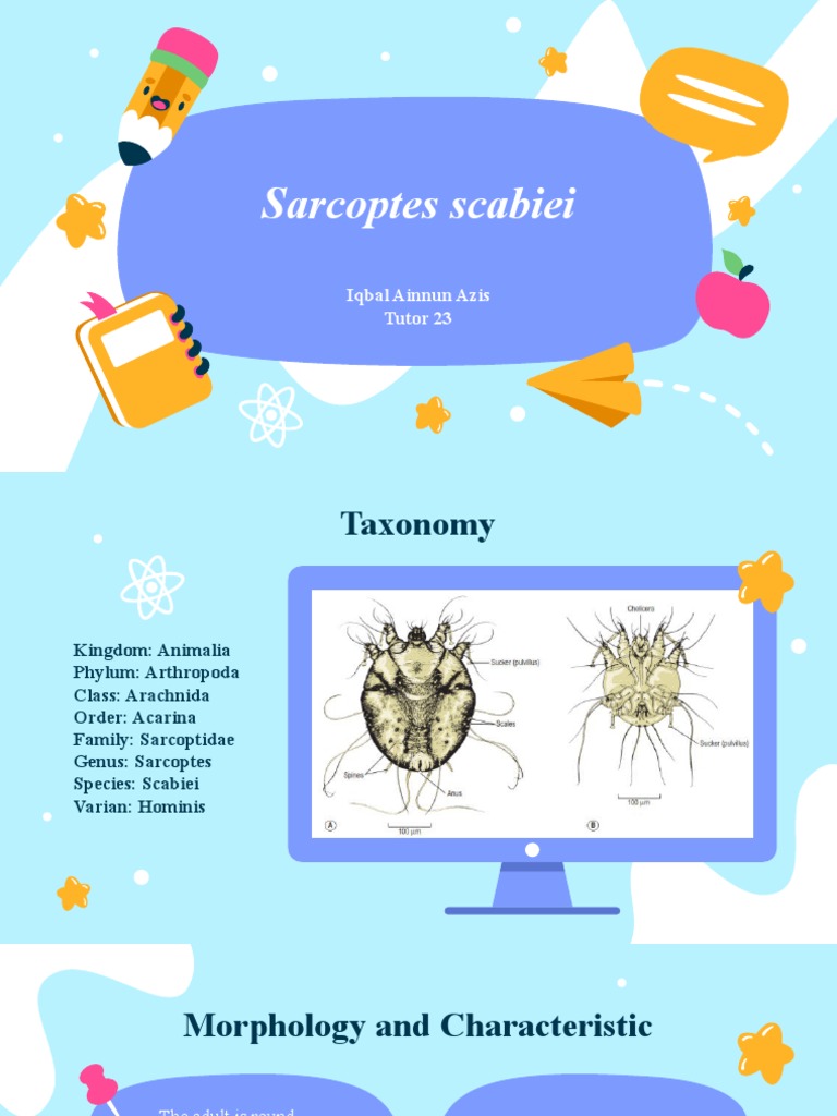 Biology of Sarcoptes Scabiei | PDF