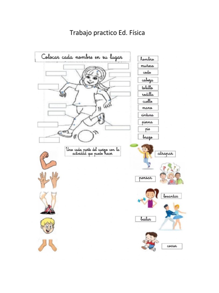 Trabajo Practico Partes Del Cuerpo | PDF