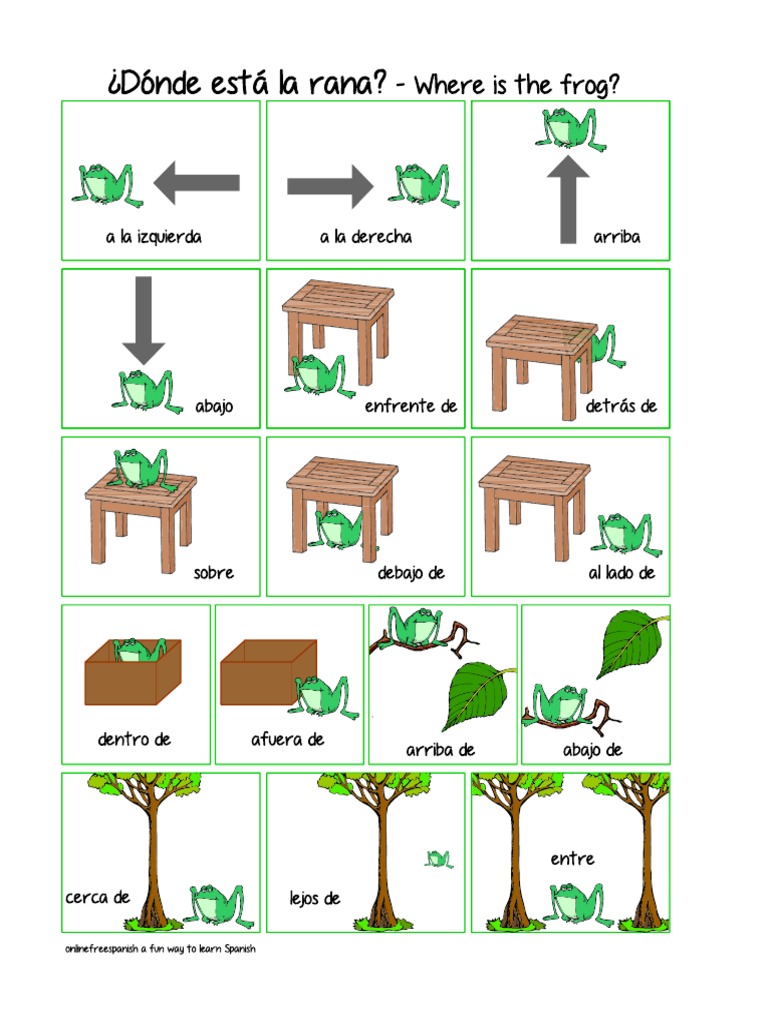 Donde Esta La Rana | PDF