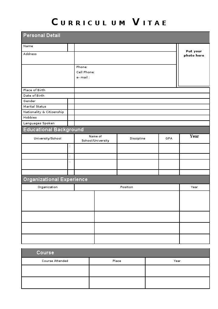 Standard CV Template for Job Applications | PDF
