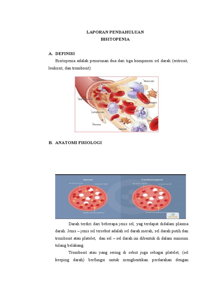 LP Bisitopenia | PDF