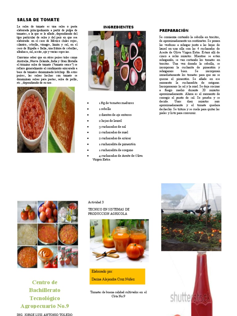 Triptico Salsa de Tomate Darina | PDF | Salsa de tomate | Tomate