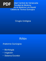 Uretrostomía: Técnicas Quirúrgicas | PDF | Vejiga urinaria | Pelvis