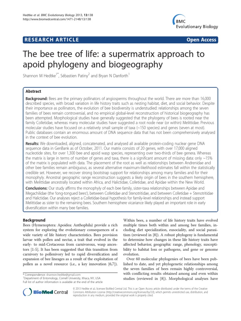 Bee Evolution | PDF | Phylogenetic Tree | Molecular Phylogenetics